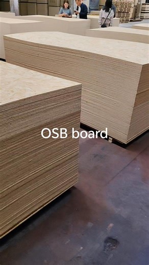 #OSB board #pine osb board #China osb board #cheap osb board #18mm OSB #packing osb #construction osb #furniture osb #OSB 3 #T&G OSB #12mm OSB#OSB manufacture Christine Wu Weifang Everfortune Imp&Exp.co.,Ltd | Weifang Everfortune Imp&Exp.co.,Ltd