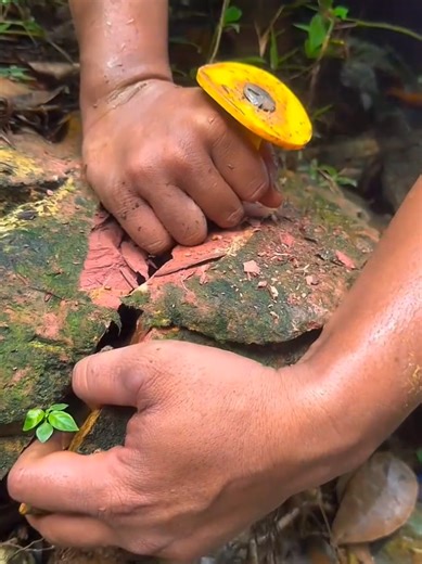 Finding Gold Nuggets: A Unique Adventure in Vancouver