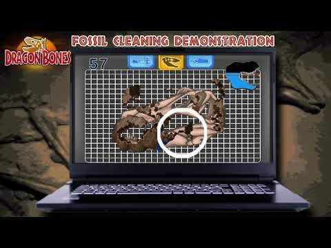 Spino Head Cleaning with Updated Timer and Sped up Ripple Effect