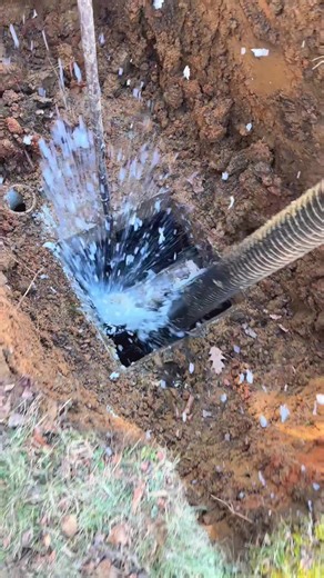 How to Handle Stopped Up Toilets and Septic Systems