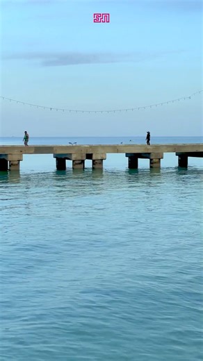 15K views · 476 reactions |  Yucatán, México A solo unos minutos de Mérida, Puerto Progreso es el escape perfecto entre playa, gastronomía y tradición. Su malecón, su muelle infinito y su brisa cálida hacen de este puerto un destino que conquista a todos. #PuertoProgreso #Yucatán #PlayasDeMéxico #CostaYucateca #SoyNativo | Soy Nativo | Facebook