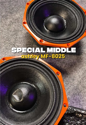 Ashley MF-8025 Speaker Review and Recommendations