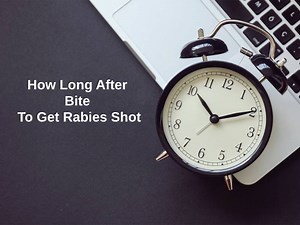 How Long After Bite To Get Rabies Shot (And Why)?