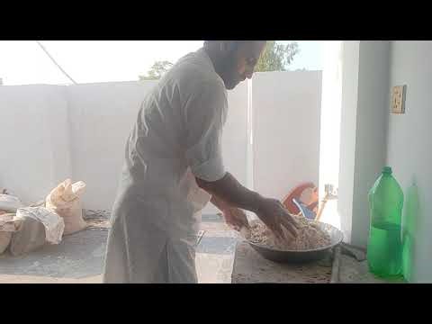 Day 120 With Chicks | Morning Routine | Daily Chick Life