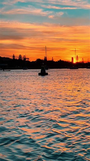 Alex Collum (@alex.collum1)’s videos with Country Blues - Jerry Headd