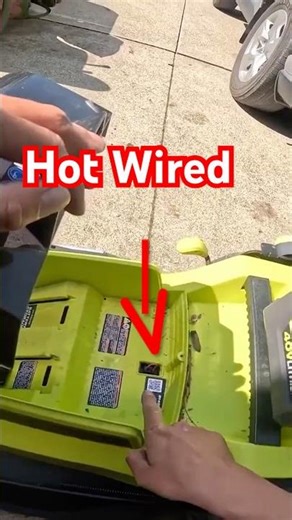 Curiosity Got To Me #youtubeshort #shorts #short