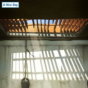 454K views · 10K reactions | Baby chick 2 | Nice Day | Facebook