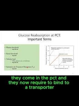 What is Transport Maximum | Renal Threshold | Splay #diabetes #mbbs #short
