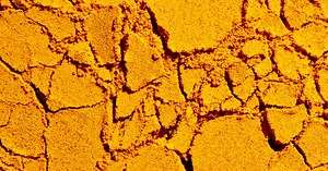 Turmeric May Not Be a Miracle Spice After All