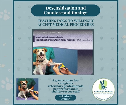 In this self study course, learn the detailed steps and nuances for desensitization and counterconditioning for nail trims, injections, venipuncture and more. This is a great course for caregivers, veterinary and pet professionals, and shelter/rescue staff. Sign up for Canine Lab 4 today in the CattleDog Publishing® store. | CattleDog Publishing - The Legacy of Dr. Sophia Yin
