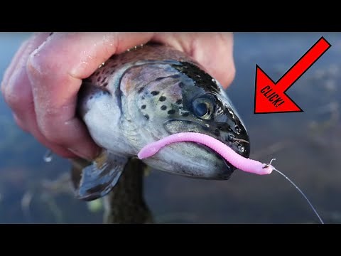 How To Fish Plastic PINK WORMS To Catch Trout! (EASY & EFFECTIVE!!)