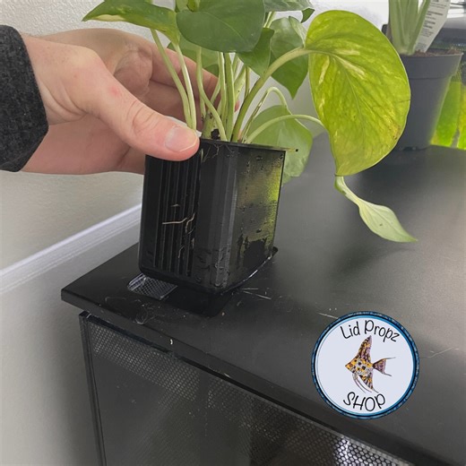 Fluval Flex Plant Insert: Aquaponic Houseplant Filter, Nitrate Reductionfree SHIPPING! - Etsy