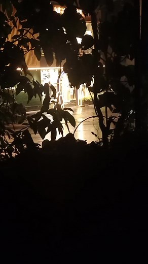 #flowerseveryonehighlights #night #beauty #memory #NaturalBeauty | Muhsin T | Facebook