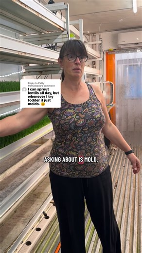 Dogwood Hills Guest Farm on Instagram: "Air flow has been a huge game changer for our fodder! @official_farmtek @trueleafmarket #thefarmex #fodder #hydroponics #fodder #barley"