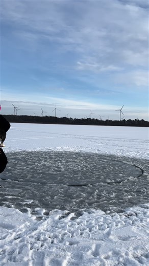 Ice Ice Baby: Winter Fun with Huskies