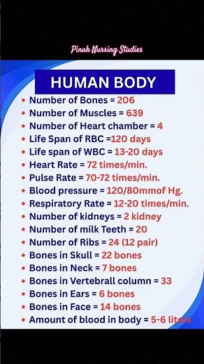Human body