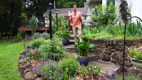 Grow a NONSTOP COLOR Garden! Here's 5 Tips