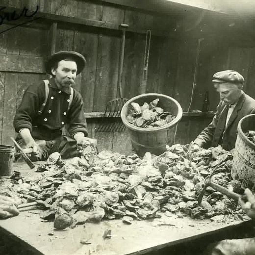 1.3K views · 3K reactions | Taylor Shellfish has been farming high quality, sustainable shellfish in the Pacific Northwest since the 1890's. We offer nationwide overnight shipping for all of our fresh oysters, clams, mussels, and geoduck so only the freshest shellfish arrives at your door. See what's in season here: https://buy.taylorshellfishfarms.com/ | Taylor Shellfish Farms | Facebook