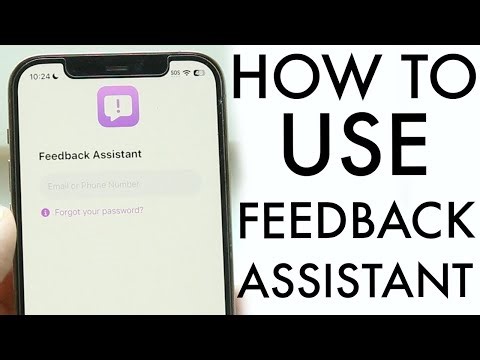 How To Use Feedback App On iOS! (2025)