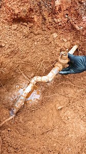 Replacing a PRV underground 🌱💦 Removing this old water pressuring regulator valve outside at the water meter and replacing it with a new one using PEX A cold expansion #plumbing #plumber #diy #fyp #reels #homerepair #plumbingrepair #foryou #plomero #handyman | The Plumberlorian