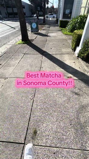 Discover Sonoma County's Best Matcha at The Tea Nook