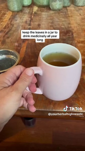 Lemon Balm: Natural Relief for Stress and Sleep