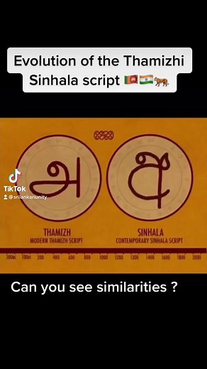 #tamil #sinhala #srilanka #srilankan #සිංහල #සිංහල🇱🇰දේශය #india #srilankatiktok #tamiltiktok Brahmi script are very similar