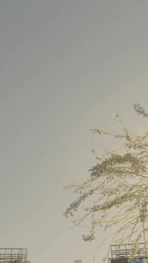 Antología tour a sido muy especial para nosotros y saber que estaríamos en Phoenix, Arizona sería increíble. Verlos cantar y bailar con tanta energía de principio a fin… fue magnífico! 🙌🏻🔥 #intocable #antologiatour #phoenix #arizona | GRUPO INTOCABLE