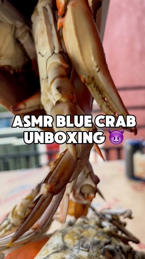 ASMR BLUE CRAB UNBOXING 😈 #crab #asmr | Cameron's Seafood Online