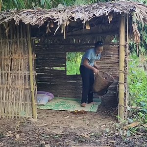 57K views · 916 reactions | full video 65 days, the wandering life of poor girl, in the wilderness a homeless man follow | AN VS WILD | Facebook