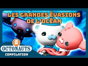 Octonauts - 🌊 Les grandes évasions de l'océan 🛟 | Compilation | Dessins animés pour enfants