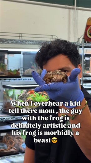 LLLReptile and Supply Co, Inc on Instagram: "At least I’m starting to get recognized 😎 . . . . #reptiles #frogs"