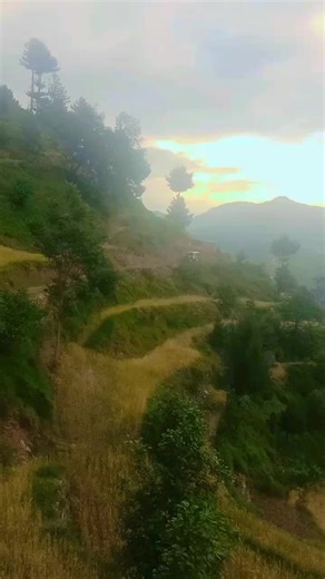 Aftkhar Gujjar 6708 (@gfffffffffff48)’s videos with original sound - MIRZA ZEESHAN 778