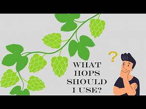 What Hops Should I Use?