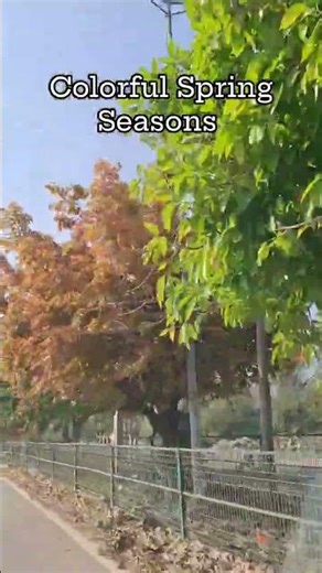 Colors of Spring #nature #spring #spring