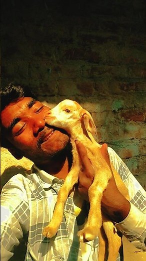 banshi dhar ka said song