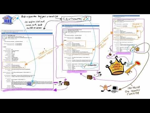 Cryptography/SSL 101 #5: SSL certificate chain in depth