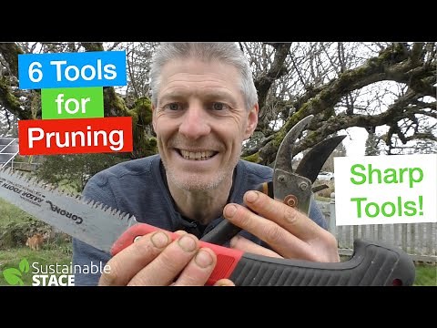6 Tools for Pruning