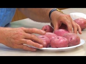 Preparing Potatoes for Exhibition