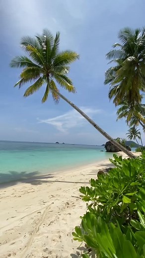 Labengki Island #kakabantriptolabengki #labengkiisland