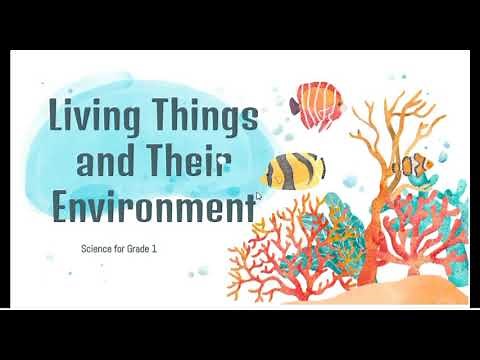 Living Things in Their Environment | Science for Grade 1
