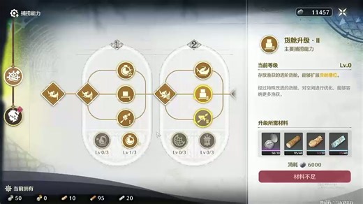 知更鸟坚持新新信念