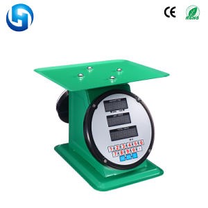 [Hot Item] 60kg Electronic Price Computing Scales in Weighing Scale Stainless Steel