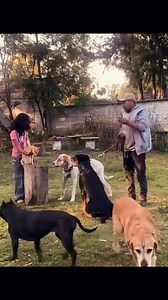 1.8K views · 26 reactions | ¿Recuerdan a Lencha la Rottweiler de 2...