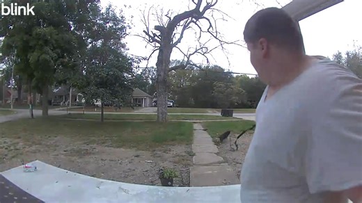 81K views · 221 reactions | If you look close, you will see Ruby breaking her leash and running across the street to confront the German Shepherd across the street. Ruby is fine. Joseph got her to come back and go for a car ride. | Ruby's Adventures | Facebook