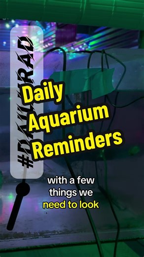 Today’s aquarium reminder on #DailyRAD top off. This is going to be a twice a week or reminder. #reeftankreminders #fishtankreminders #aquariumreminders #fypreminders⚘️