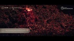 18 reactions | [Making the wine] Second episode of your weekly saga!...