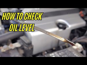 How To Properly Check Your Oil Level