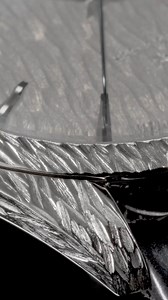 11 reactions | The new Grand Seiko “Majestic White Birch” #SBGZ009,...