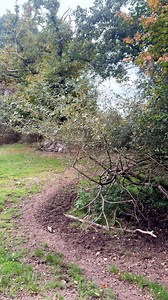 Countryside Code Test! #farm #outdoors #rurallife #livestock #farming #wales #wrexham #cows #humor #comedy #joke | Dan Brown